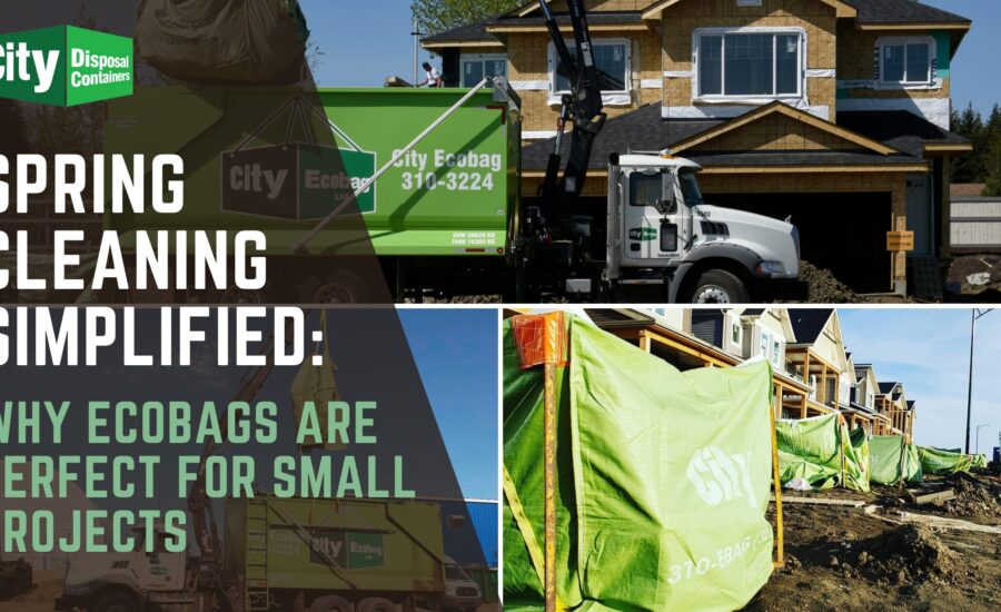 Spring Cleaning Simplified: Why EcoBags Are Perfect for Small Projects ...